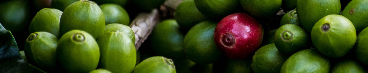 Eye Treatments – Clovertree