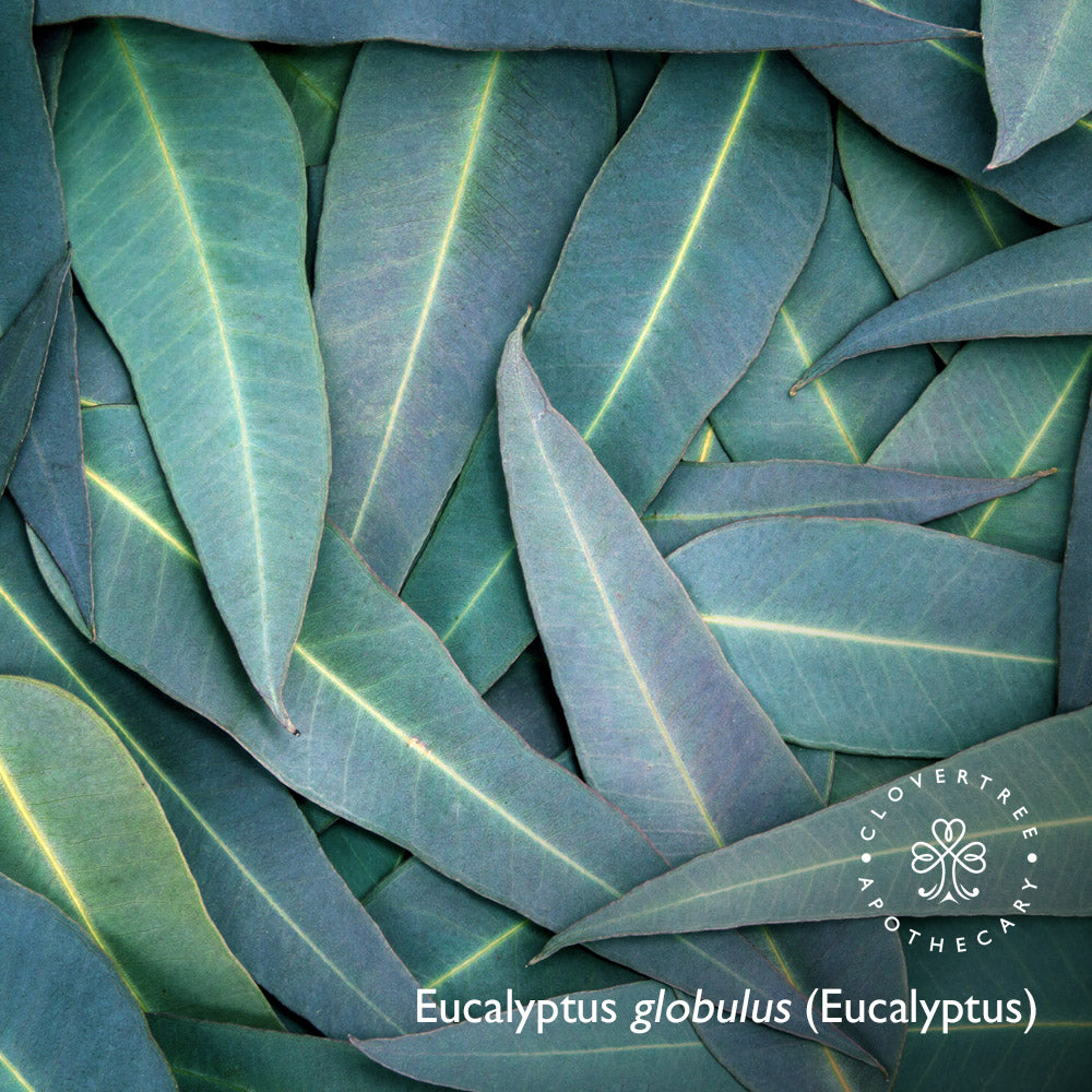 Muscle Relief Balm - Clovertree Apothecary - Plant-Powered Beauty