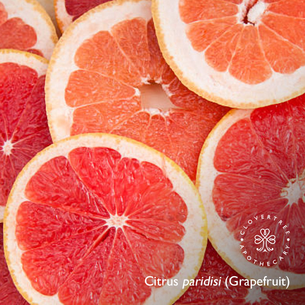 Ultimate Skin Cream - Clovertree Apothecary - Plant-Powered Beauty